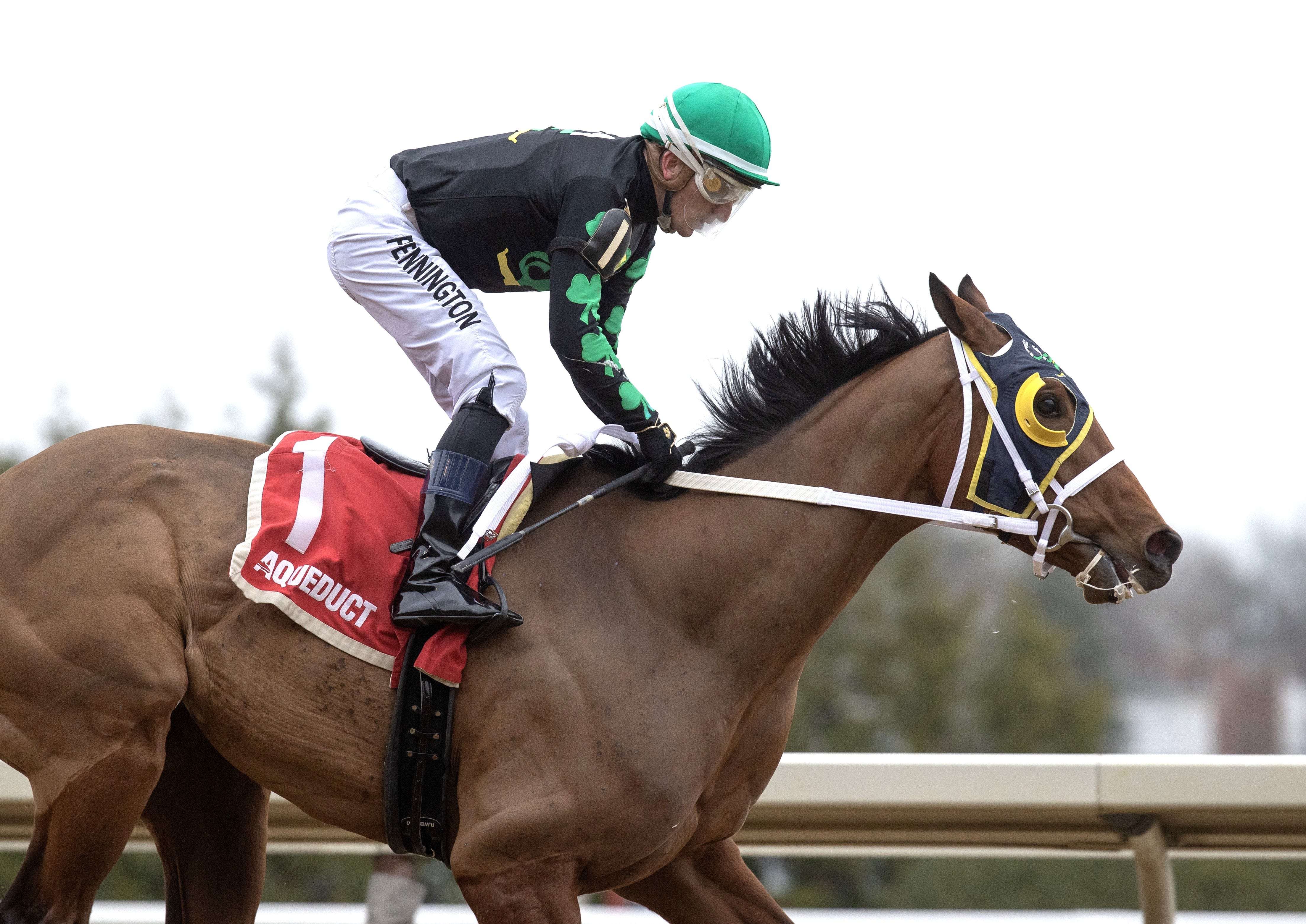 Inside post forces Irish Maxima's hand in Bed o' Roses